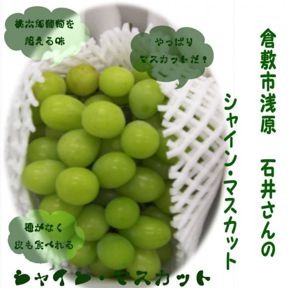 【送料無料】岡山産シャインマスカット 大房1房（約700g）[2024年] | 47CLUB – 名産・特産品・ご当地グルメのお取り寄せ・通販・贈答は47CLUB